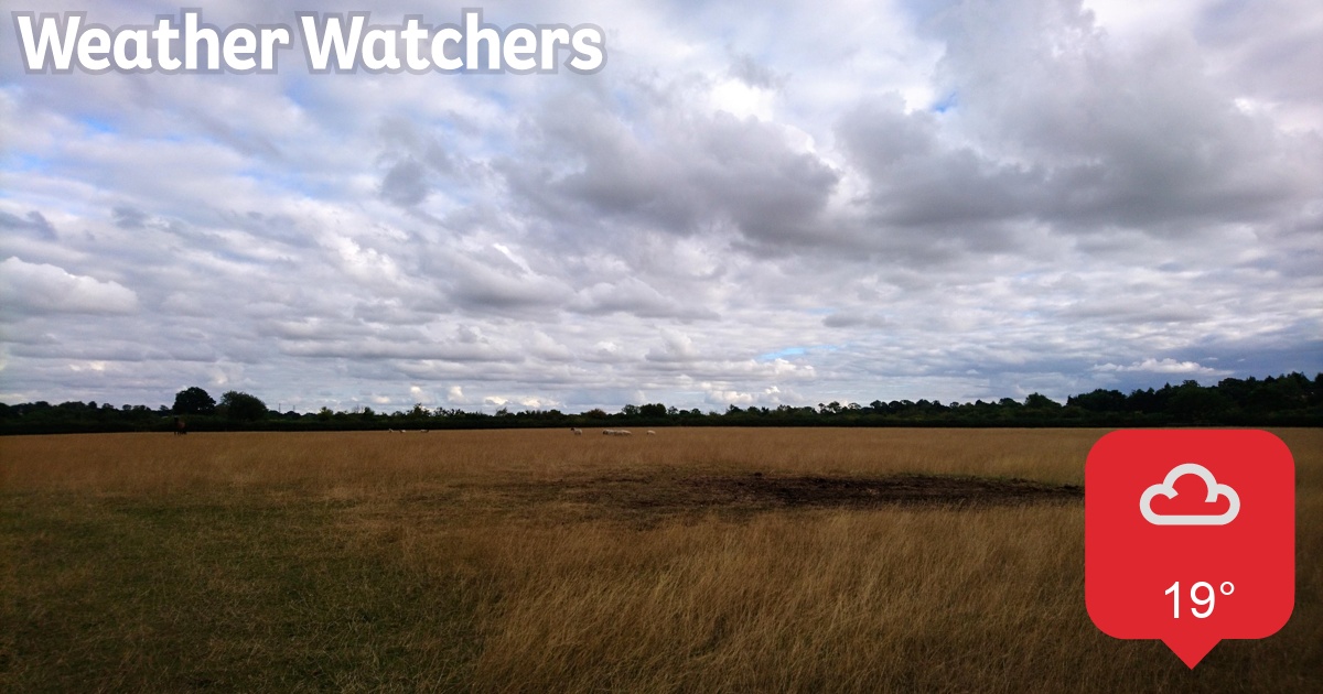 Report - BBC Weather Watchers