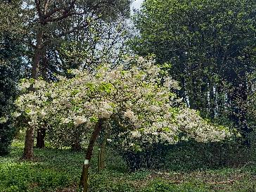 Redditch - BBC Weather