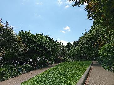 London - BBC Weather