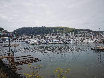 Exmouth - BBC Weather