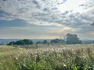 Solihull - BBC Weather