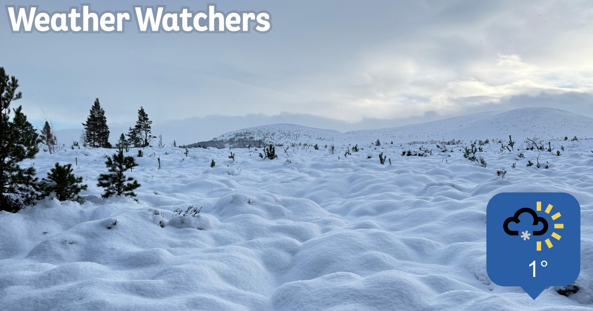 Report - BBC Weather Watchers