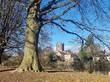 Redditch - BBC Weather