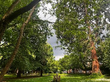 Staines-upon-Thames - BBC Weather