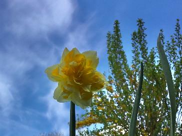 Woking - BBC Weather