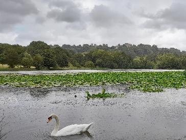 Belper - BBC Weather