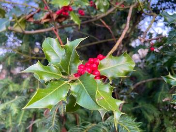 Slough - BBC Weather