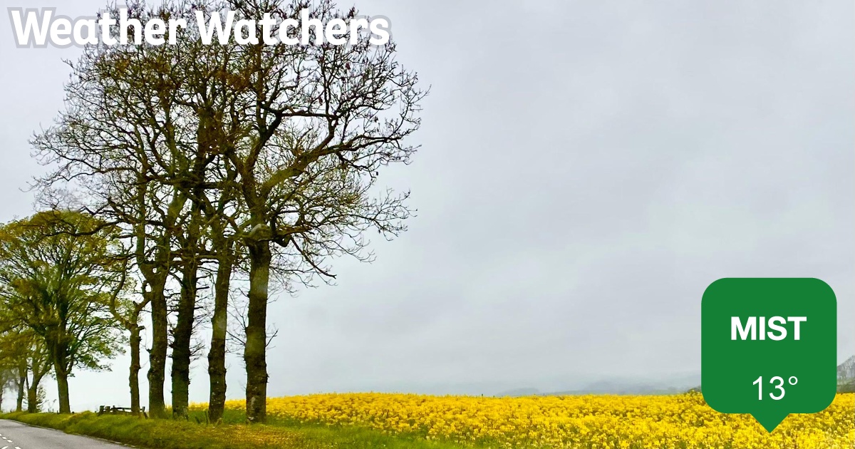 Report - BBC Weather Watchers