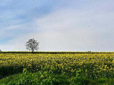 Exeter - BBC Weather