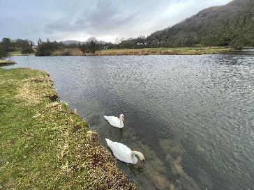 Penrith - BBC Weather