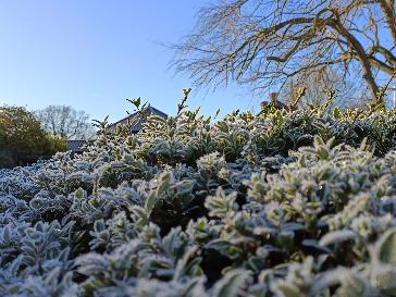 Basildon - BBC Weather