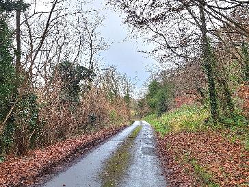 Trowbridge - BBC Weather