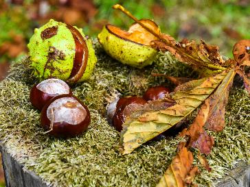 Belper - BBC Weather