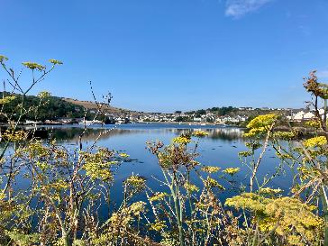 Exeter - BBC Weather