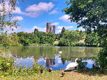 Sutton Coldfield - BBC Weather