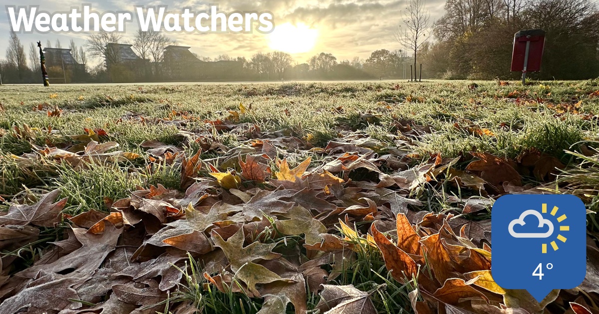 Report - BBC Weather Watchers