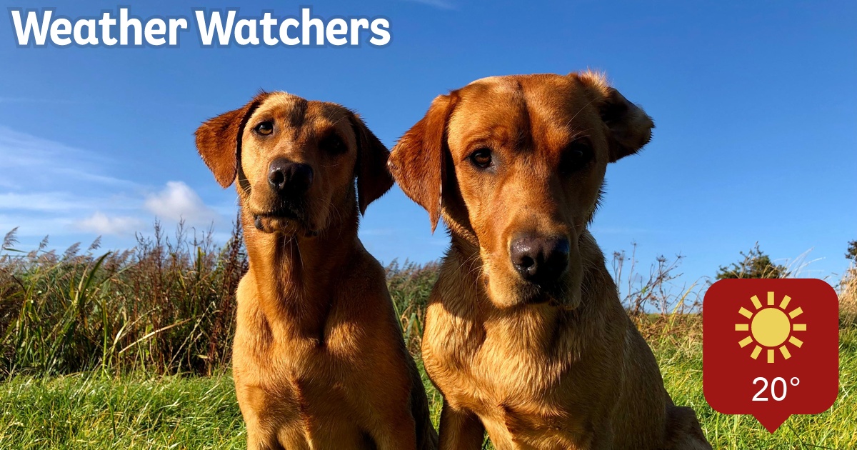 Report - BBC Weather Watchers