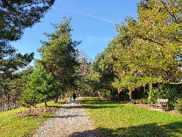 Guildford - BBC Weather