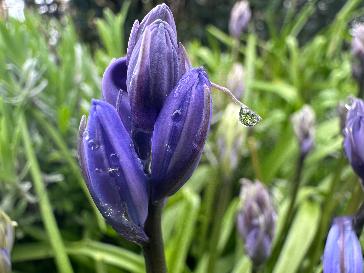 Farnborough - BBC Weather