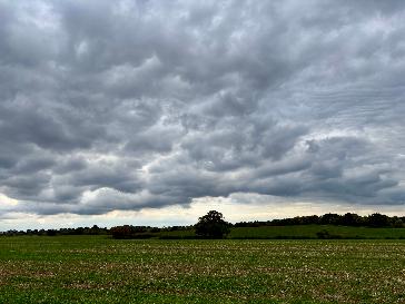 Haverhill - BBC Weather