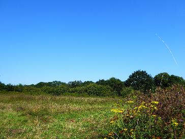 Lowestoft - BBC Weather