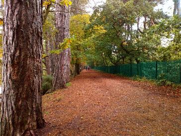 Walsall - BBC Weather