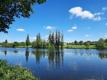 Sutton - BBC Weather