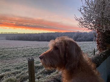 Swindon - BBC Weather