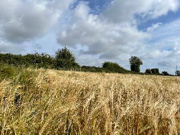 Ballymoney - BBC Weather