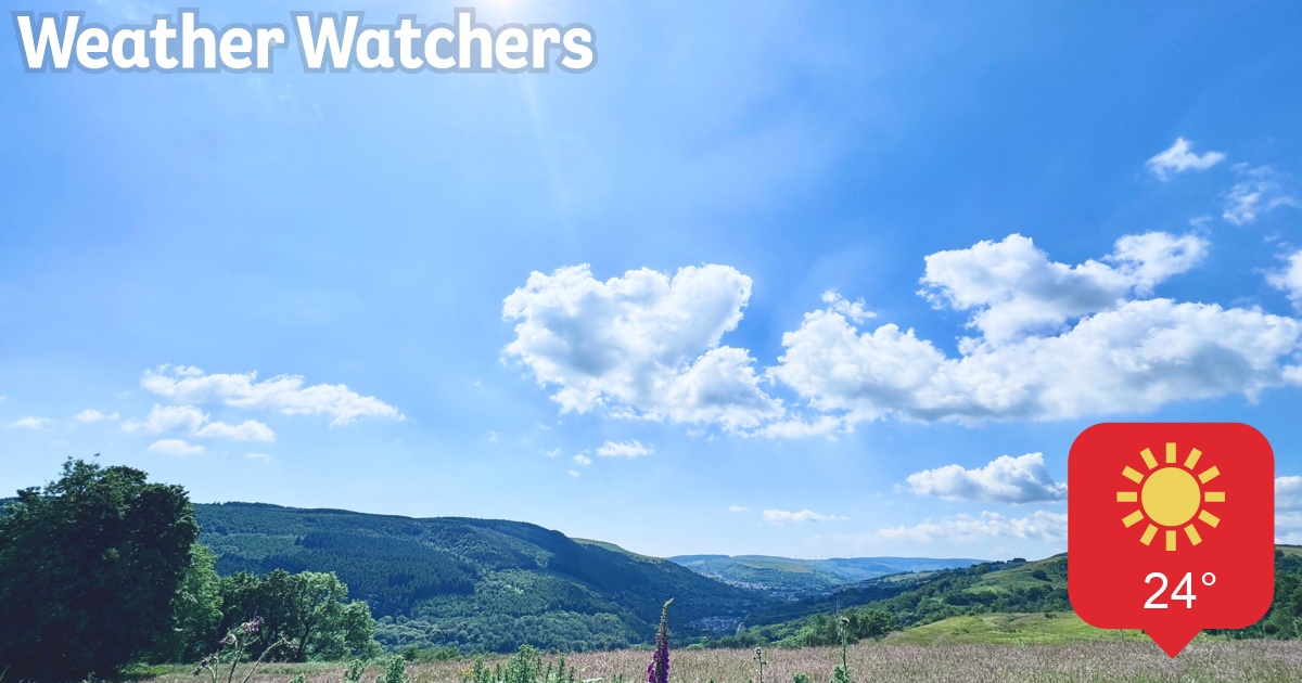 Report - BBC Weather Watchers