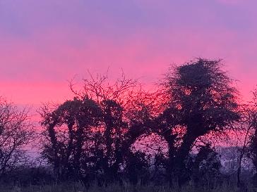 Jersey Airport - BBC Weather