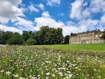 Sheffield - BBC Weather