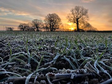 Crawley - BBC Weather