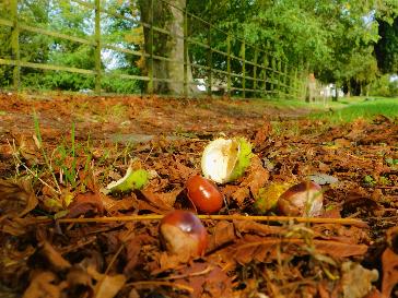 Immingham - BBC Weather
