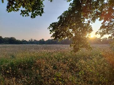 Stevenage Old Town - BBC Weather
