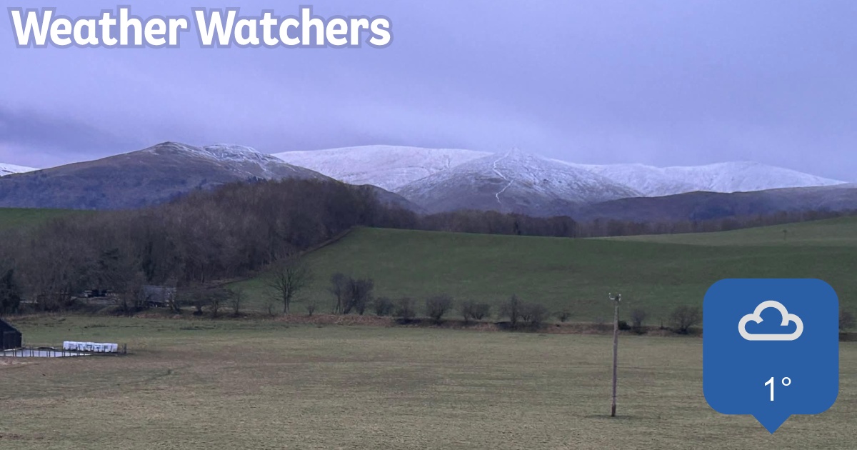 Report - BBC Weather Watchers