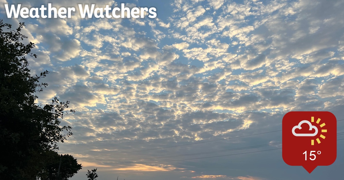 Report - BBC Weather Watchers