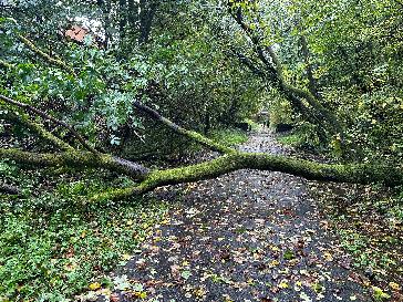 Girvan - BBC Weather