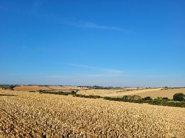 Torquay - BBC Weather