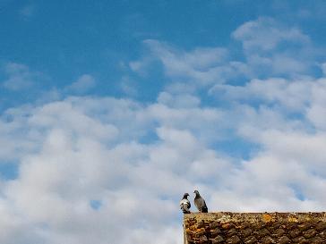 Norwich - BBC Weather