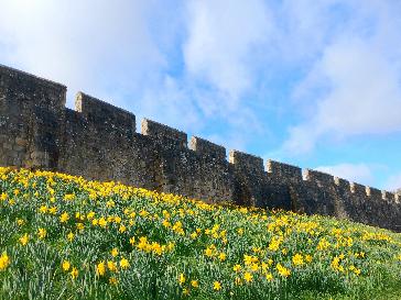 Harrogate - BBC Weather