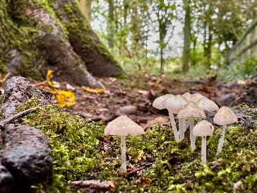 Belper - BBC Weather