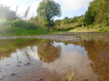 Londonderry - BBC Weather