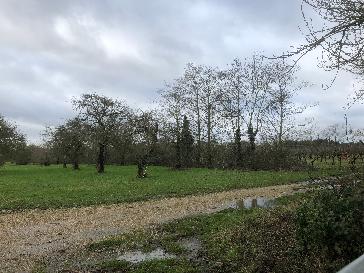 Braintree - BBC Weather