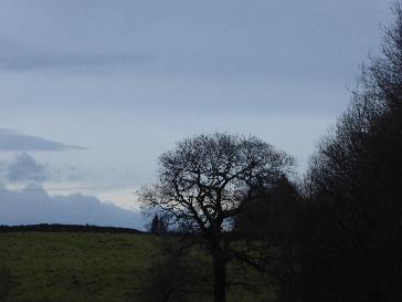 Kendal - BBC Weather