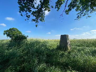 Coventry - BBC Weather