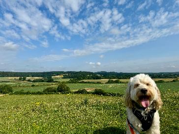 Nottingham - BBC Weather
