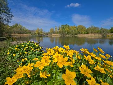 Wakefield - BBC Weather