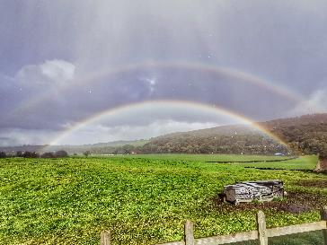 Harrogate - BBC Weather