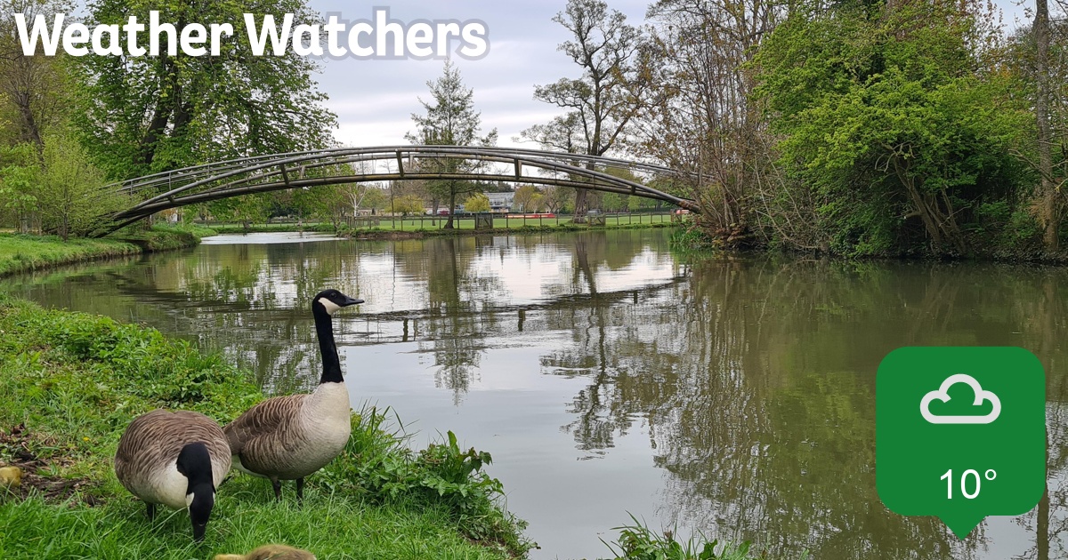 Report - BBC Weather Watchers